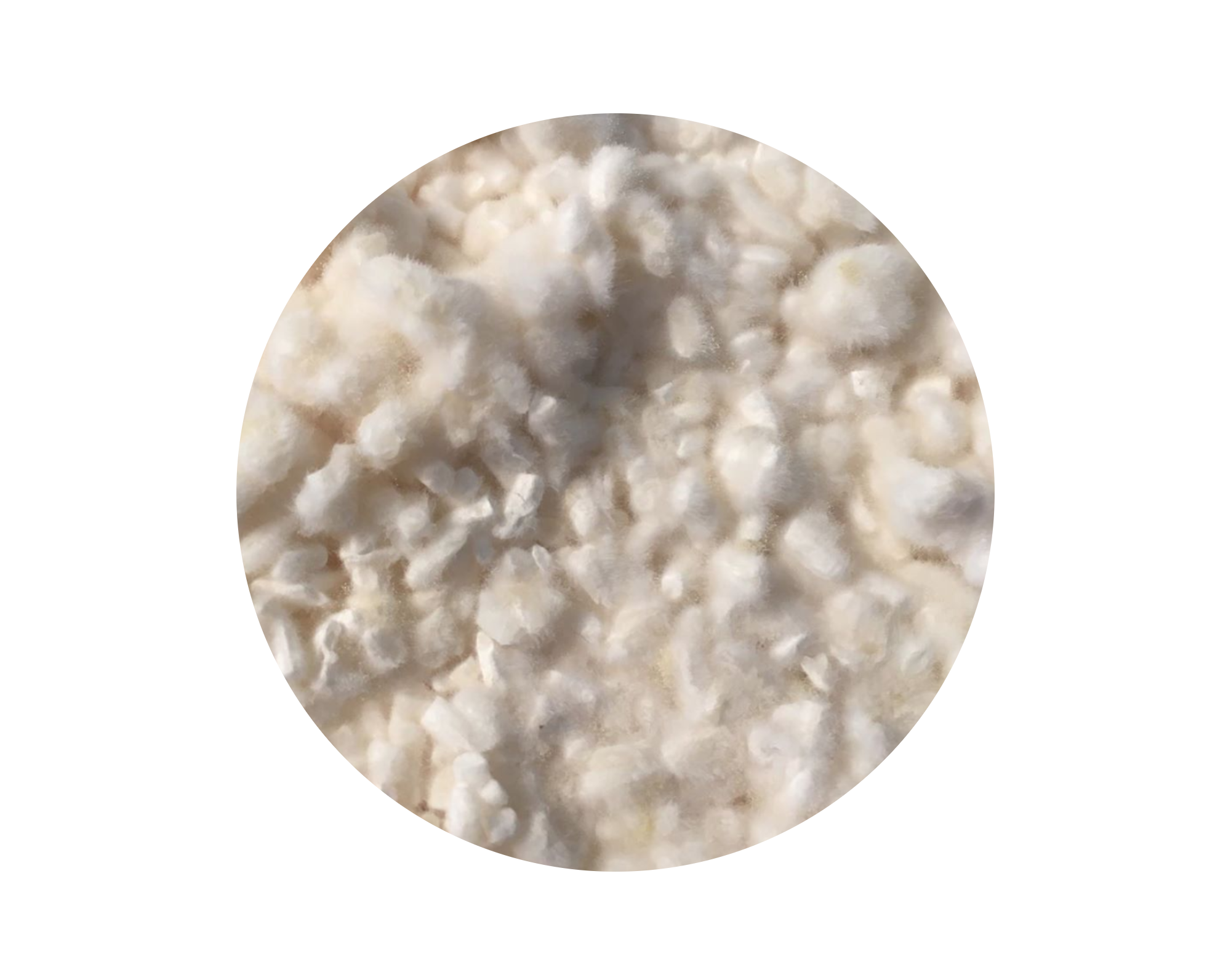 The Corrector V2 from Riversol | Targets hyperpigmentation, dark spots ...